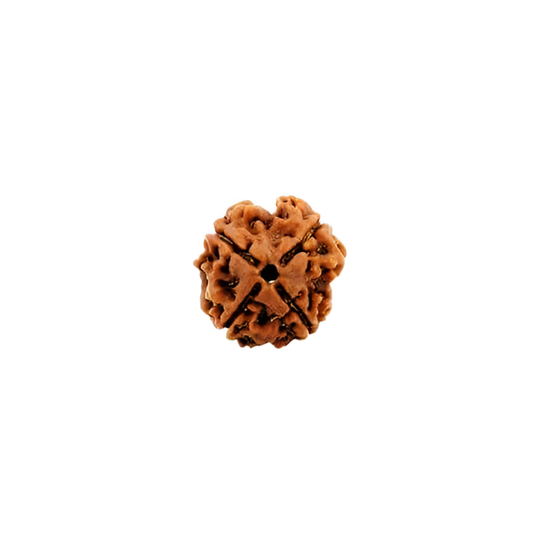 1-Face Rudraksha - Spiritual Power and Protection